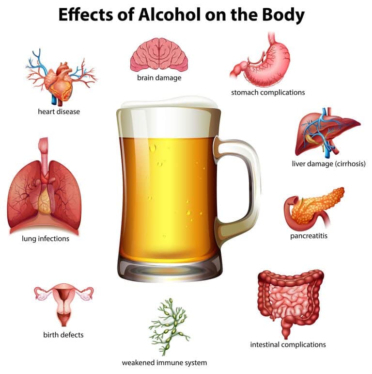 Alcohol's Effect on the Immune System: How Drinking Impacts Your Health